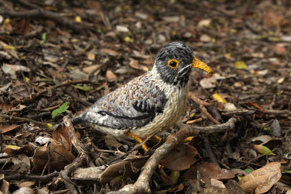 Zorzal - Museo Taller
